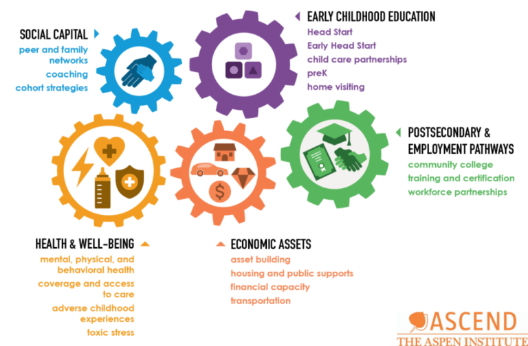 What is Whole Family? - Whole Family Guide
